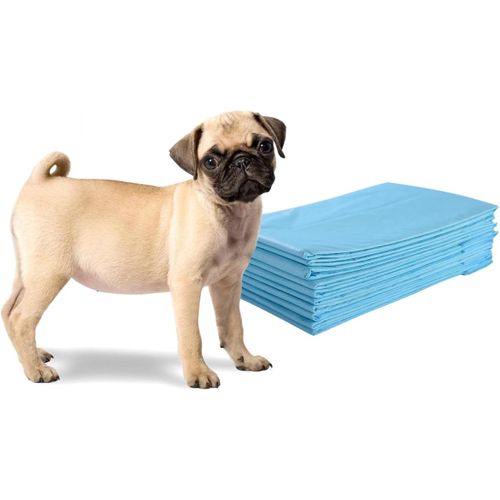 Lot De 300 Tapis Éducateurs Pour Chiot, Alaise Pour Chien Jetable à 5 ...