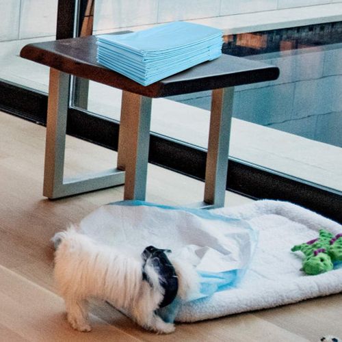Lot De 300 Tapis Éducateurs Pour Chiot, Alaise Pour Chien Jetable à 5 ...