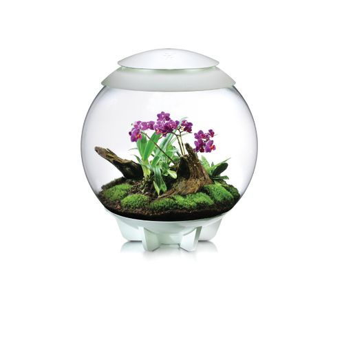 Terrarium Décoratif 60l Avec Cadre Blanc - Air 60 White - Toute l'offre ...
