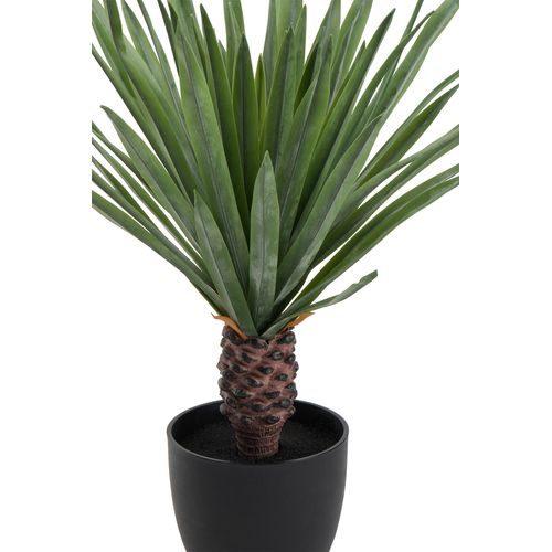 Palmier pot plastique H52 Noir - Plante artificielle et mini serre BUT