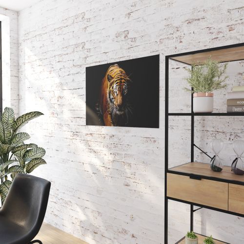 Poster plastifié 60x90 cm Transparent - Poster - Affiche BUT