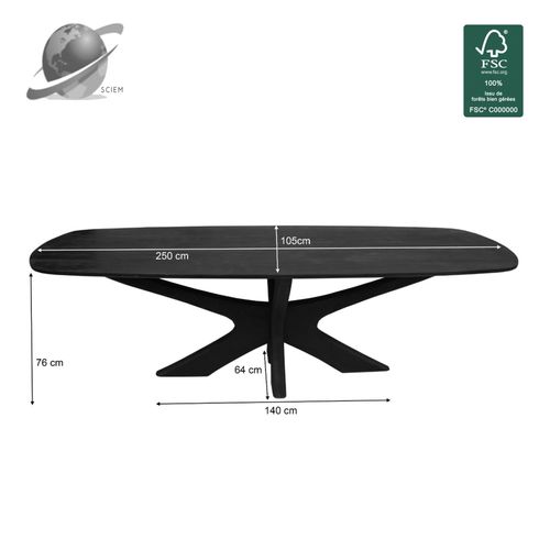 Epsylon-table à Manger Ovale 10/12 Personnes, L.250 En Bois Massif Noir ...