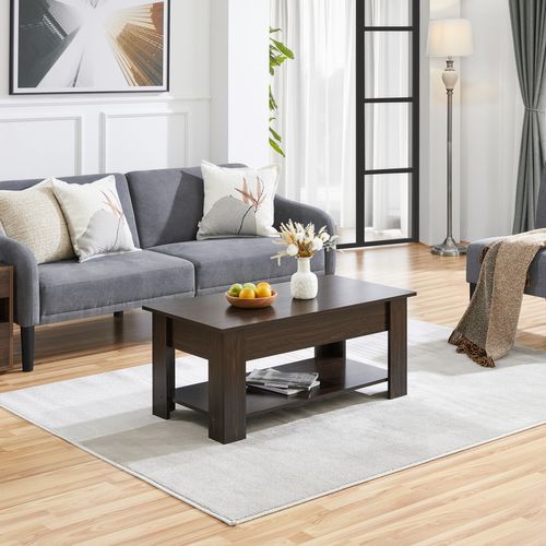 Table Basse Plateau Relevable Compartiment Caché Table De Salon à Café ...