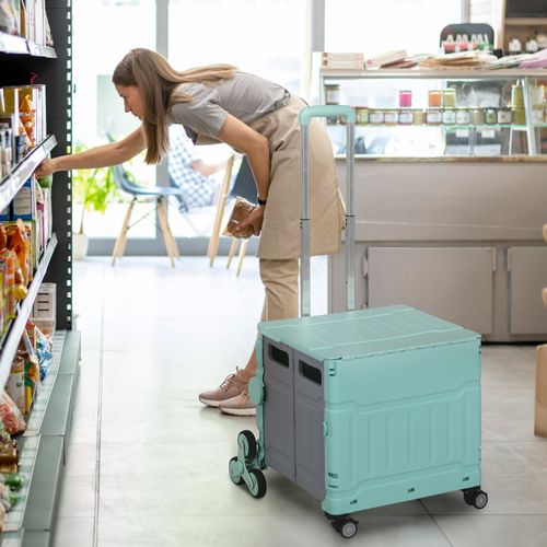 Caddie Pliable 80 Kg Avec Poignée Télescopique Et Couvercle, , Vert ...