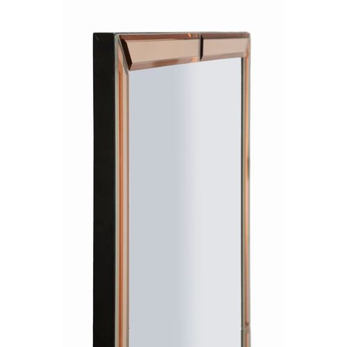 Miroir Mural Rose Rectangulaire 55x150 Cm Avec Cadre Fin Moderne Et ...