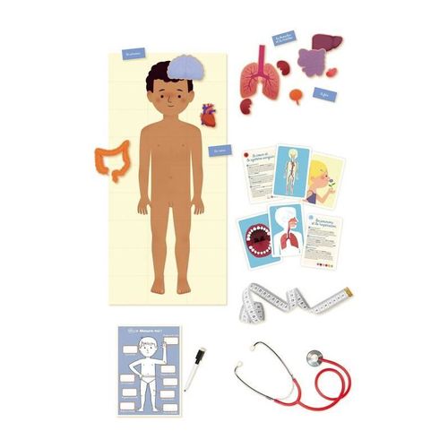 Le Corps Humain Jeux D'apprentissage - Jeux d'imitation BUT