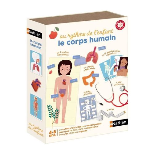 Le Corps Humain Jeux D'apprentissage - Jeux d'imitation BUT