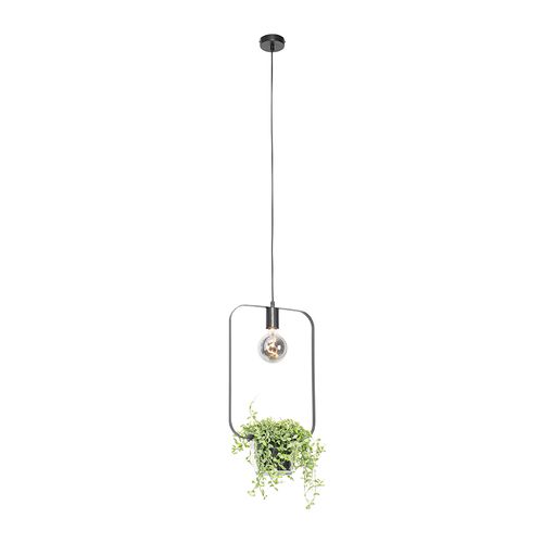 Suspension Moderne Rectangulaire Noire Avec Verre - Roslini - Lustre ...