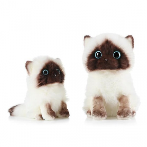 Peluche Chat Ragdoll Mignon De 20 Cm - BUT